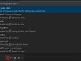 管理 Vs Code 中的 Java 项目 Vscode Ai 代码编辑器