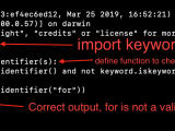 Valid Identifiers In Python