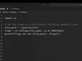 Basic Example Of Python Function Os Replace