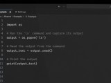 Python Examples And Usage Basicexamples