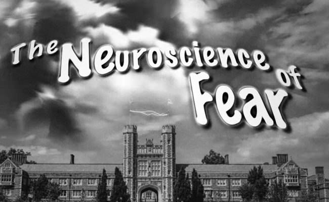 The Neuroscience Of Fear | CASE