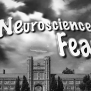 The Neuroscience Of Fear | CASE