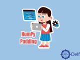 Numpy Padding Delft Stack