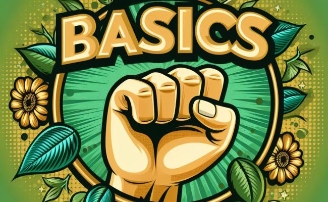 Beyond The Basics: Advanced Strategies For Seasoned Trainers – ITCC