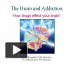 PPT – The Brain And Addiction PowerPoint Presentation | Free To ...