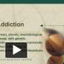 PPT – Addiction PowerPoint Presentation | Free To View - Id: 82638-NjdmM