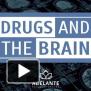 Drugs And The Brain Presentation | Free To Download