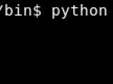 Buffer Overflow Examples Code Execution By Shellcode Injection