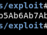 Buffer Overflow Examples Code Execution By Shellcode Injection
