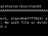 Buffer Overflow Examples Code Execution By Shellcode Injection