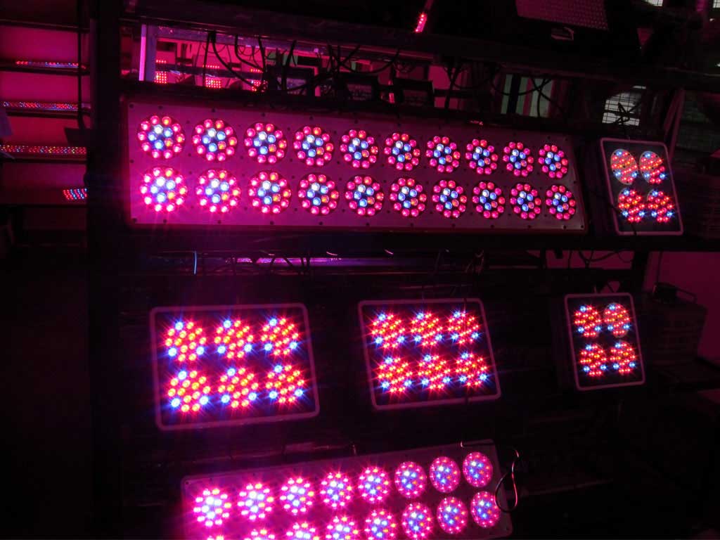 Produktreview: Orion LED - 1000Seeds
