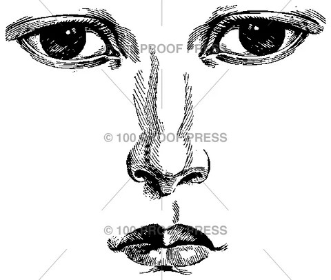 Anatomy Skeletons Page 3 100 Proof Press