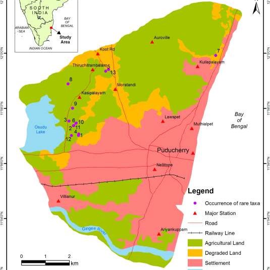 100 Transcripts LLP.