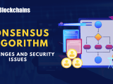 Challenges And Security Issues In Consensus Algorithm 101 Blockchains
