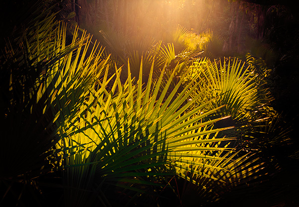 10 langkah sederhana untuk menguasai komposisi fotografi | sir.Herdiansyah