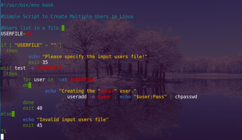 Learn Bash Scripting Creating User User4 On Linux Stage 1 Course - Best Colorful Images in 4K