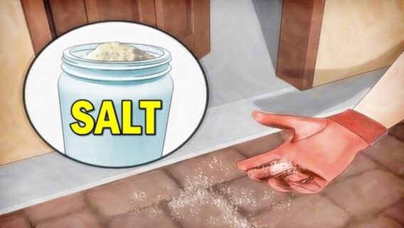 Spreading Salt Around The House – Here’s Why It’s So Incredible! - 24 ...