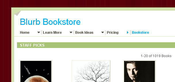 Blurb: From Business Need to Staff Pick