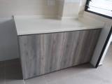 Kitchen Pantry 3s Solid Surface