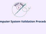 Computer System Validation Procedure 4easyreg