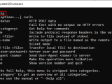 Curl Command Tutorial With Examples Boolean World 50 Off