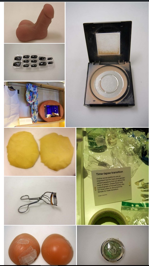 UK’s “Gendered Intelligence” has been indoctrinating students for the ...