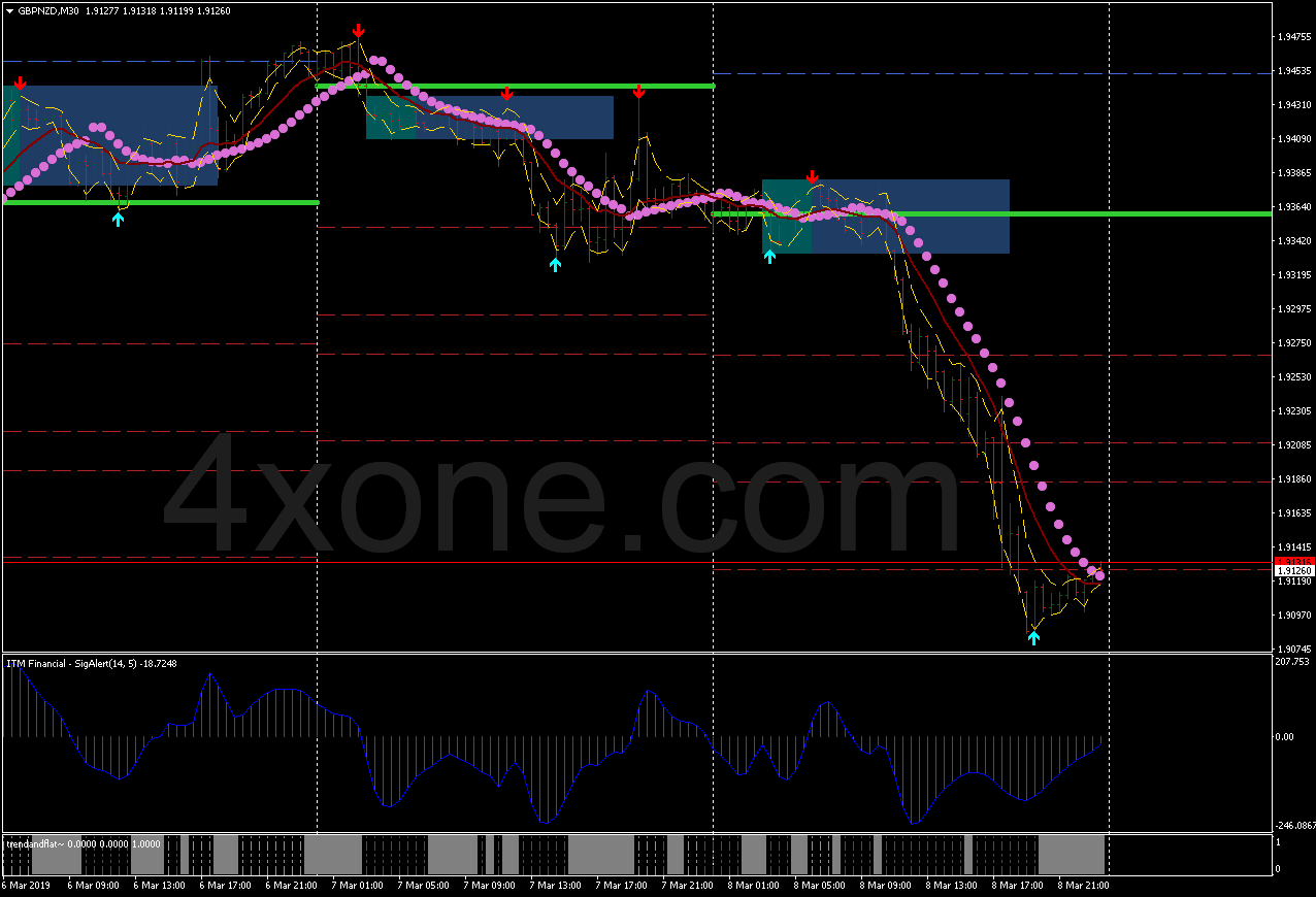 TMS Trading System – 4xone