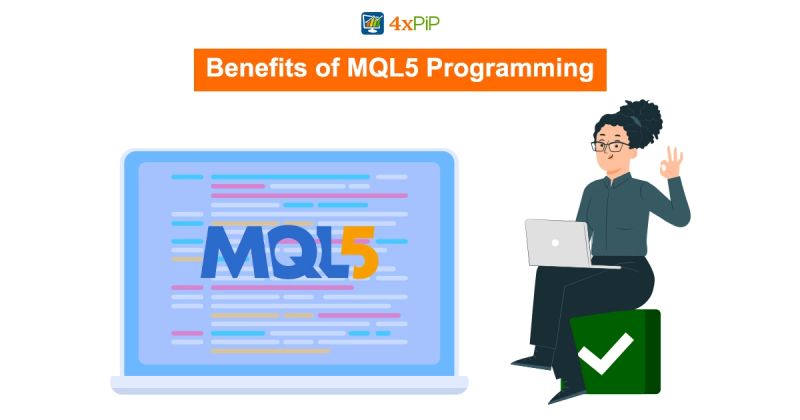 4xpip Offers Programming Of Metatrader Indicators Mql5 - Light Texture Collection - 4K Quality