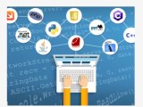 Programing Php Asp Net Java In Mumbai Id 18340713648