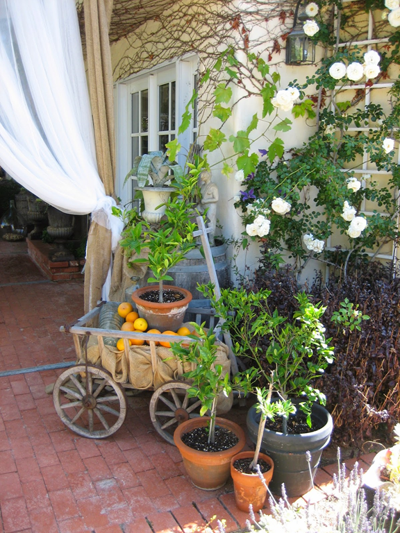 Monday’s Moments #11 - 509 Design