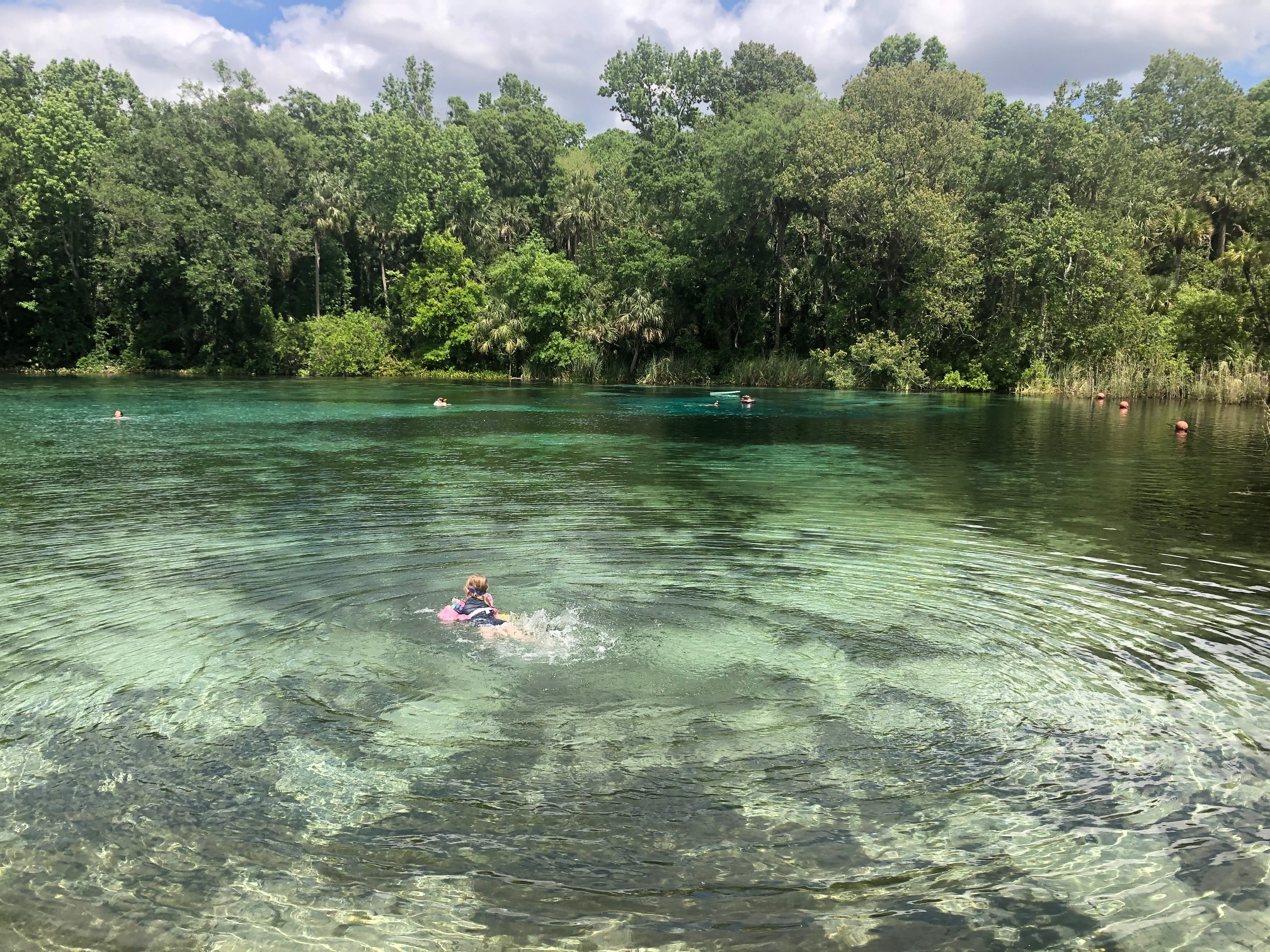 13 Best Florida Springs to Visit with Kids - 5 Suitcases