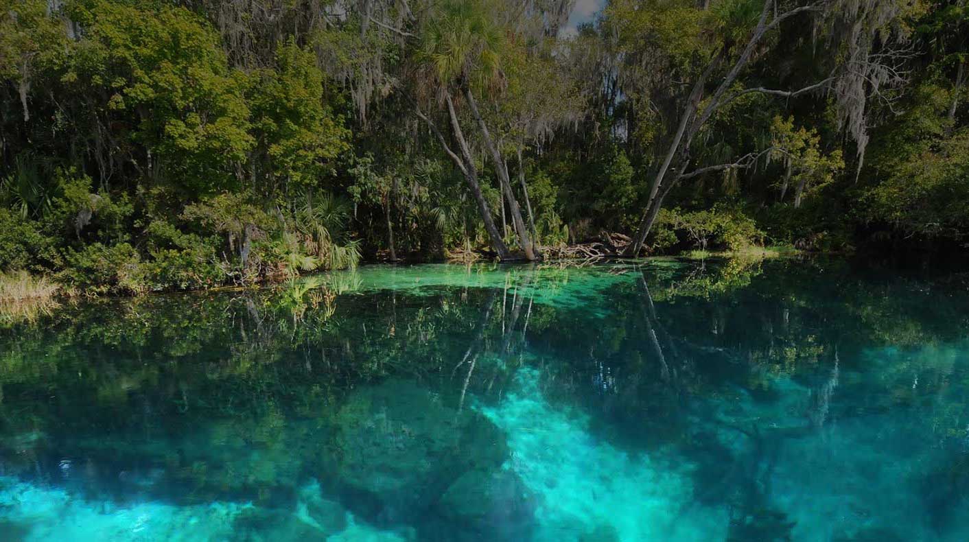 12 Best Springs Near Orlando - 5 Suitcases
