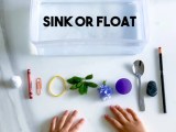 Sink Or Float Activities For Toddlers At Edward Criss Blog