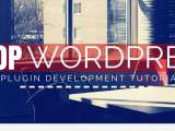 85ideas Top 5 Wordpress Plugin Development Tutorials