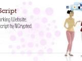 Netlog Twoo 99 Clone Scripts