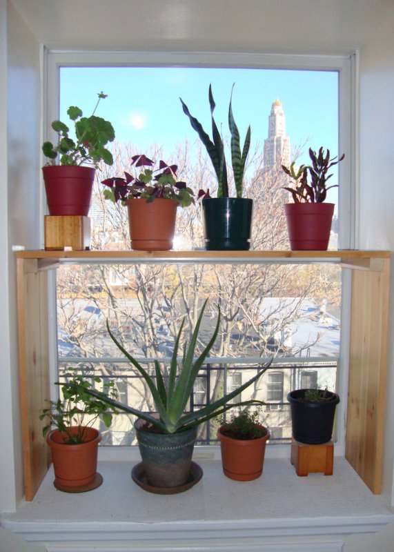 Window Geometry Solution – Mr Honner