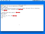Install Node Js Mac Command Line Holoserarea