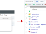 Facilitates The Creation Of Aagi Quarto Documents Aagiquartoextra
