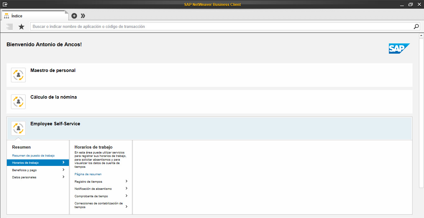 SAP Netweaver Business Client – Antonio de Ancos Cid