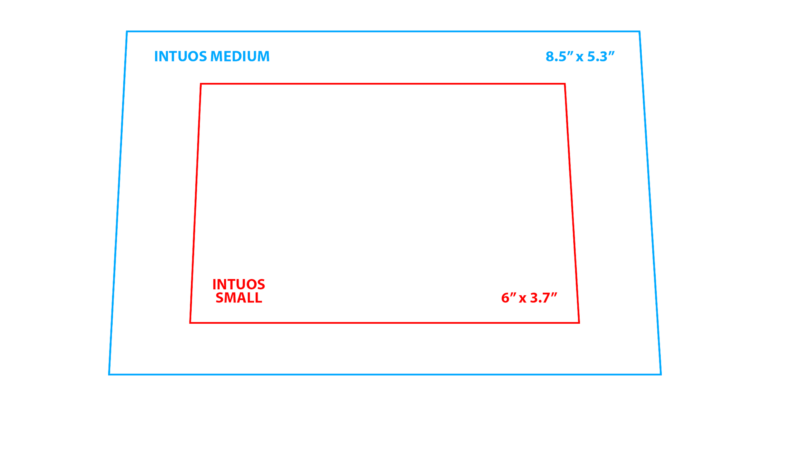 Wacom Intuos Review - Drawing Tablet for Beginners