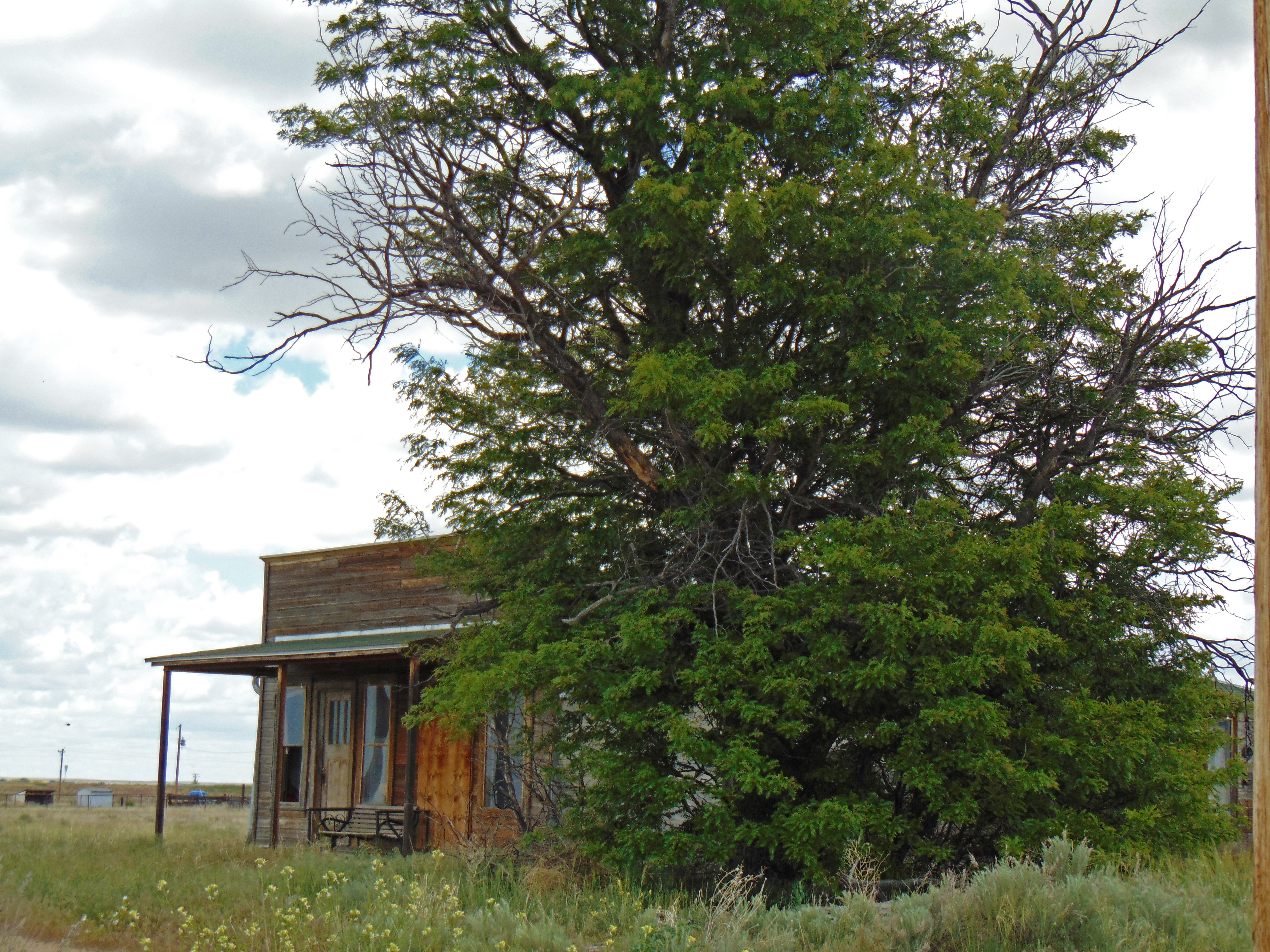 Dearfield, Colorado and Mystery Town, Colorado – Abandoned, Forgotten ...