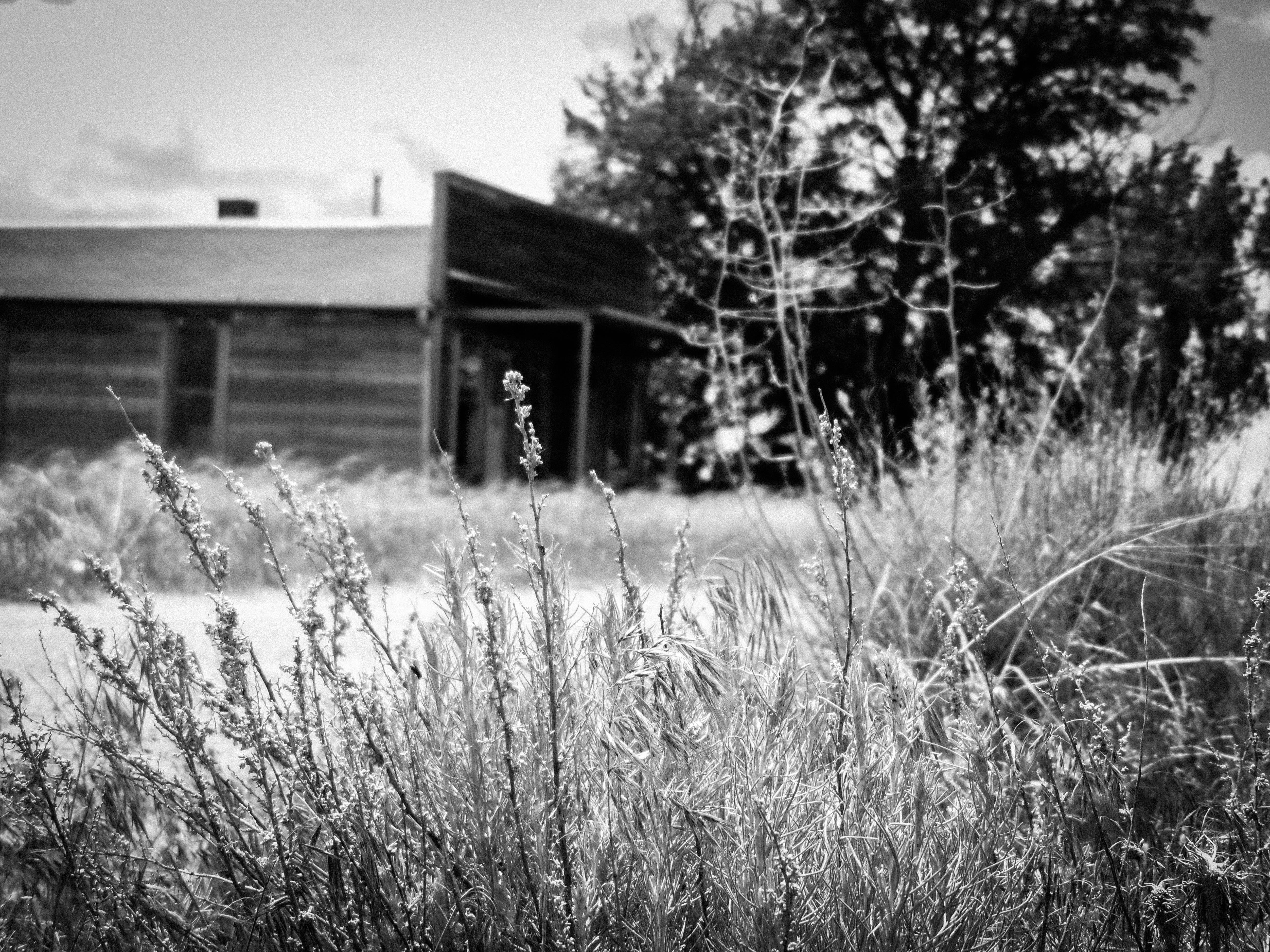 Dearfield, Colorado and Mystery Town, Colorado – Abandoned, Forgotten ...