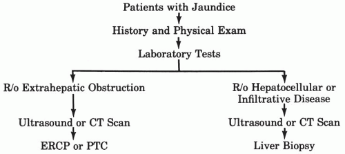 Jaundice and Interpretation of Laboratory Liver Tests | Abdominal Key