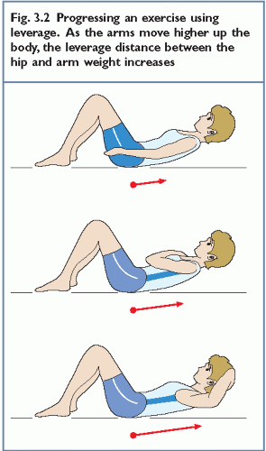 Basic Concepts Of Abdominal Training | Abdominal Key