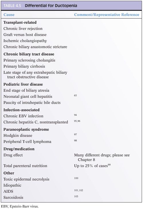image00436.jpeg | Abdominal Key