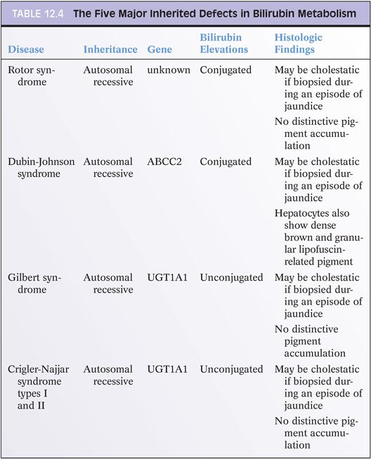 image00597.jpeg | Abdominal Key