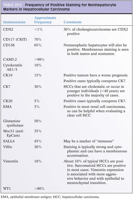 image00756.jpeg | Abdominal Key
