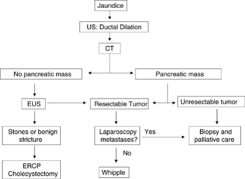 Pancreas Cancer | Abdominal Key