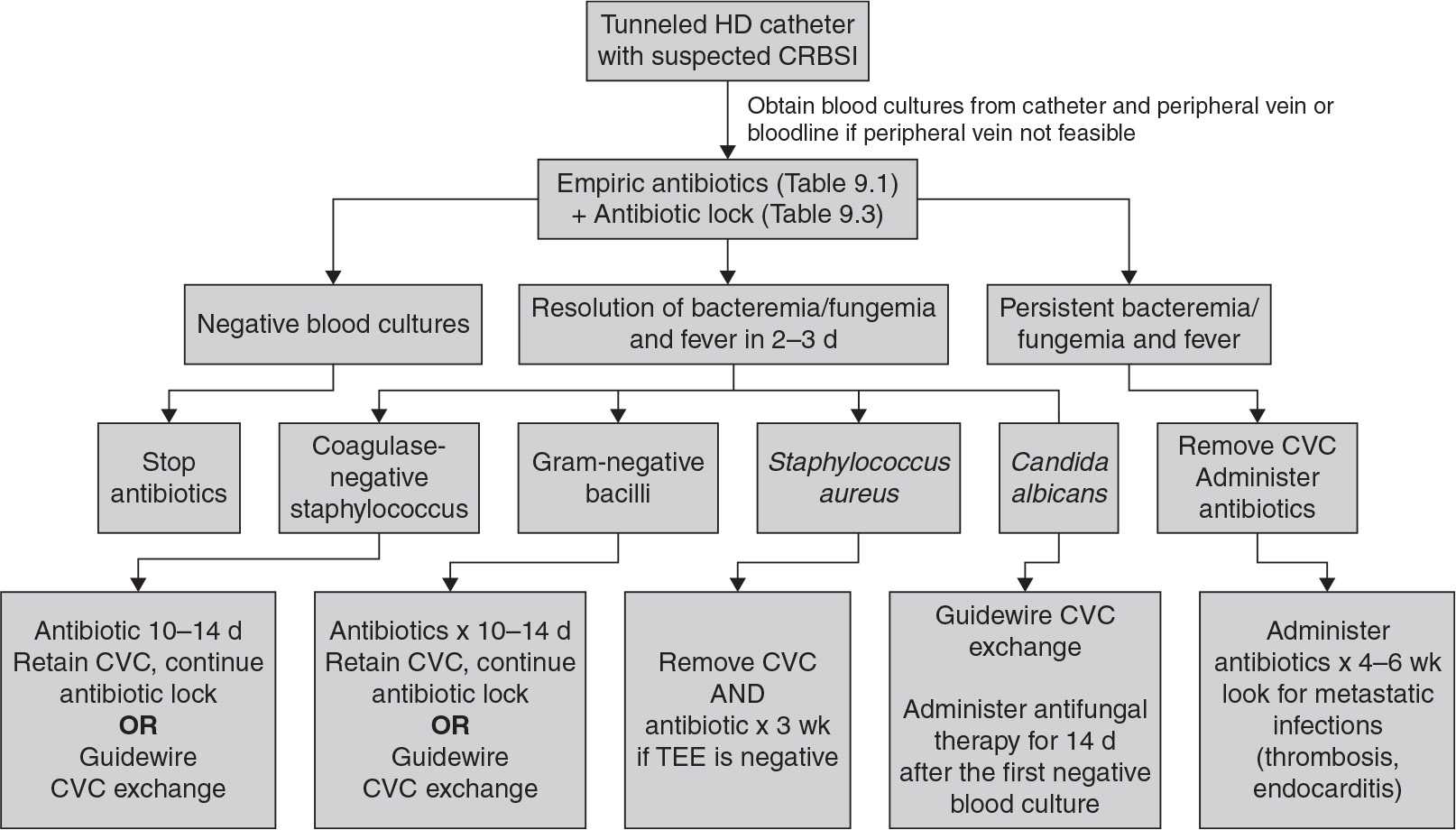 image01159.jpeg | Abdominal Key