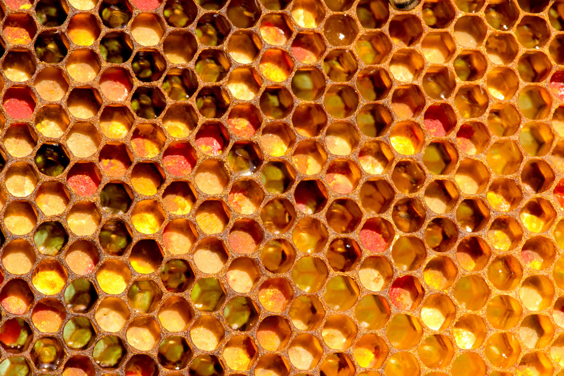 The Brood Food Theory of Swarming – Aberdeen and District Beekeepers ...